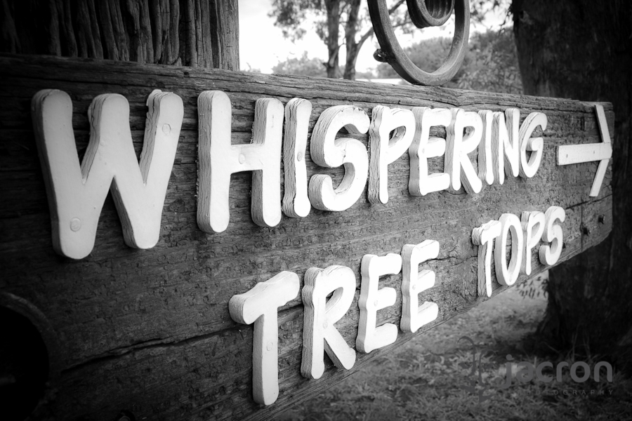 Jacron Photography.: Paul & Yvette, 12 December 2012. Whispering Tree ...