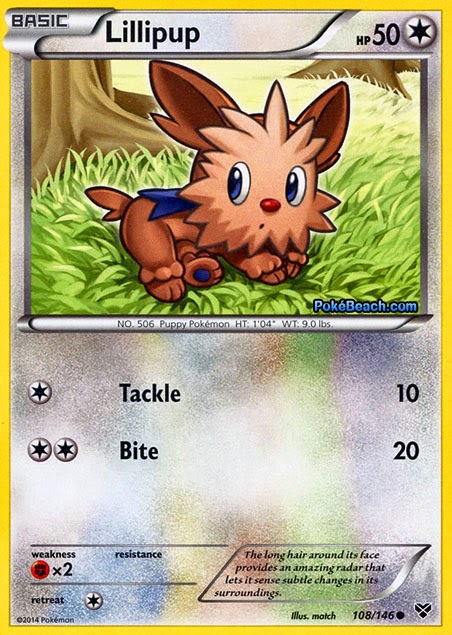 Lillipup -- Pokemon X and Y Card Review | PrimetimePokemon's Blog