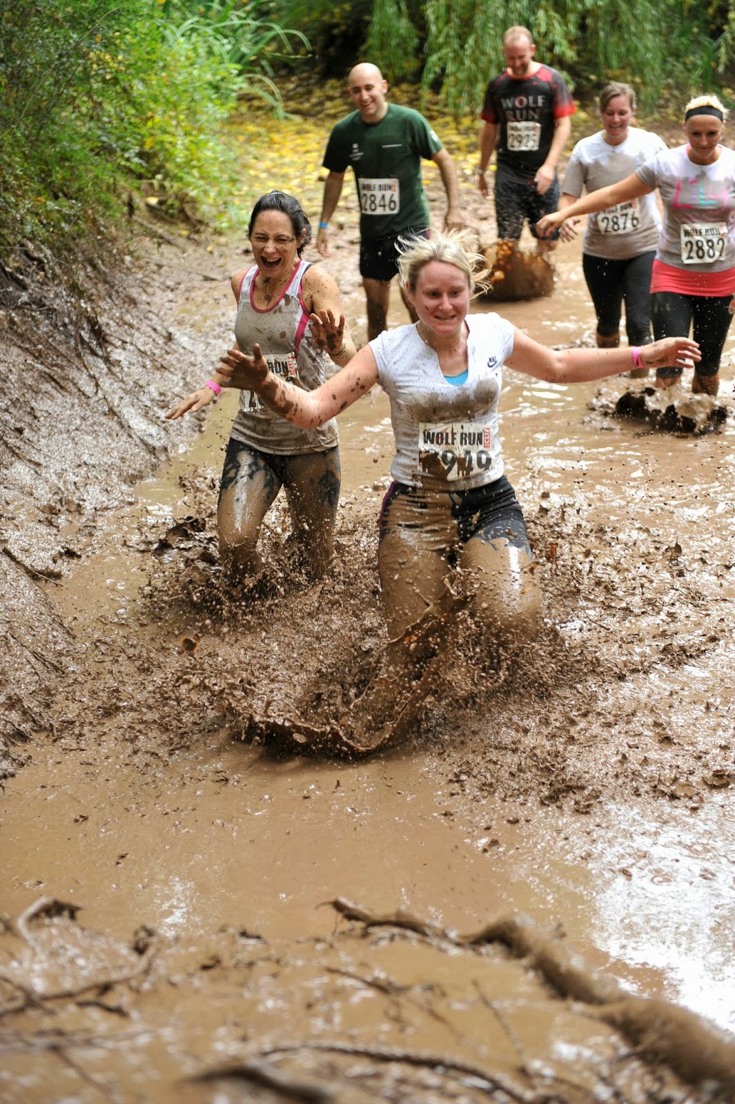 Dreaming of Footpaths: Wolf Run ... A Story in Pictures ...