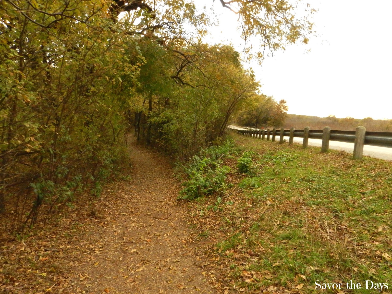 Savor The Days: Old Alton Bridge {Goatman Bridge}