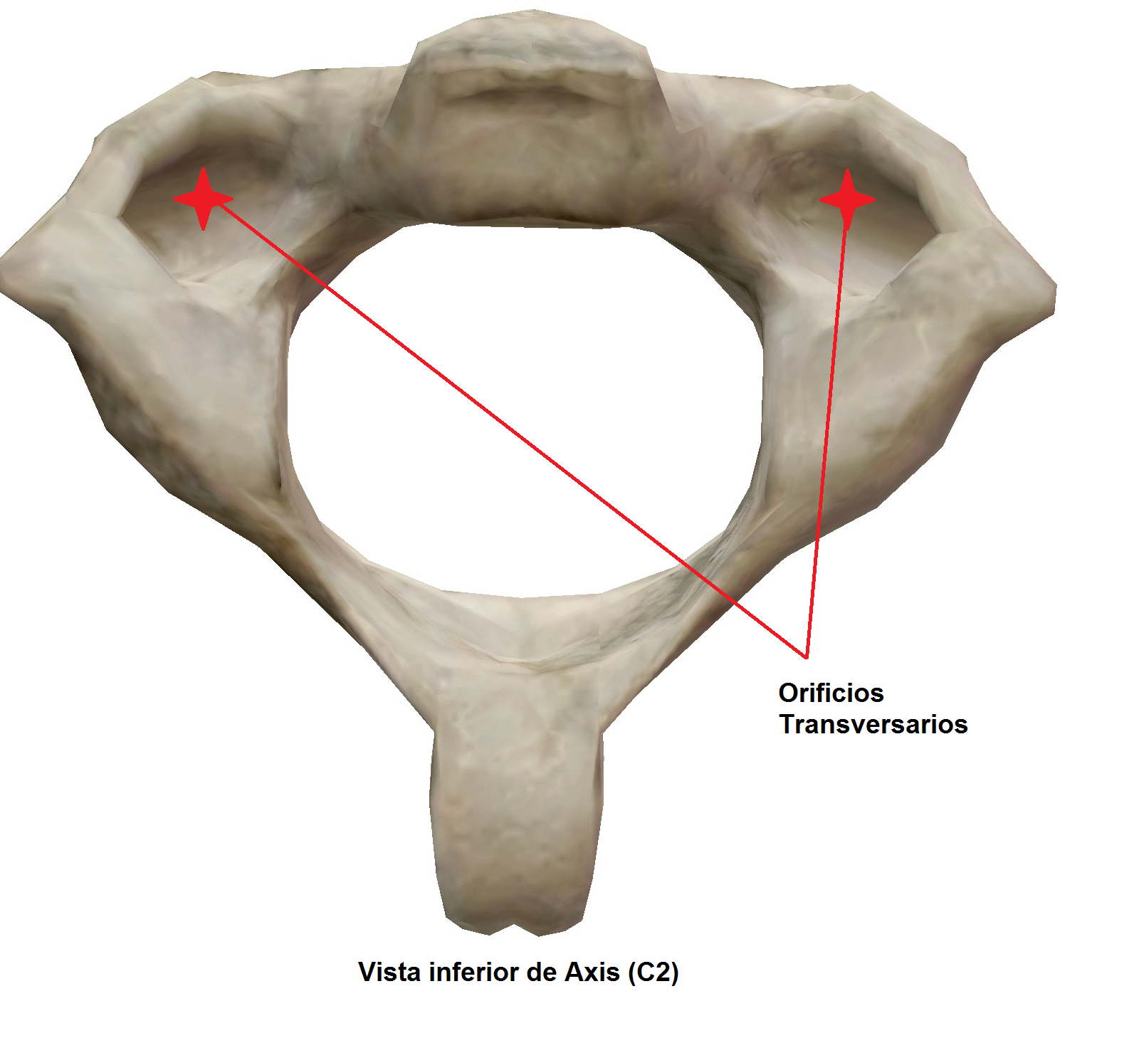 ¿ POR QUE NOS OCURRE?: mayo 2015