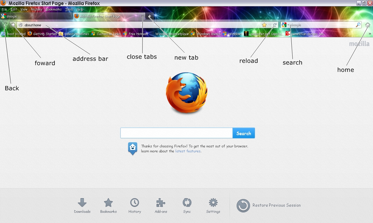dewi umi's: bagian browser dan fungsinya