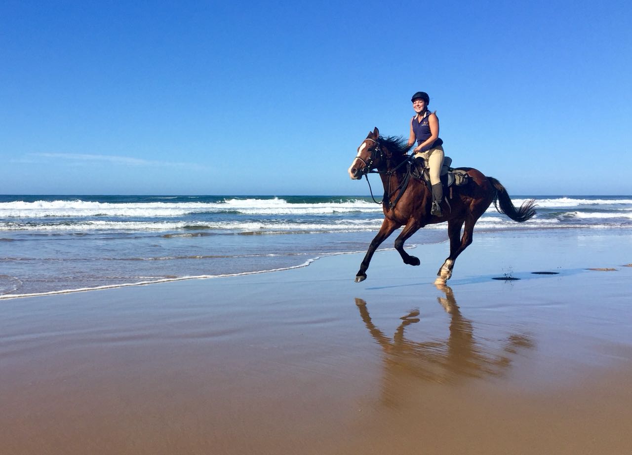 Cantering About on The Wild Coast: Sun, Sea and Saddles: horse-riding ...