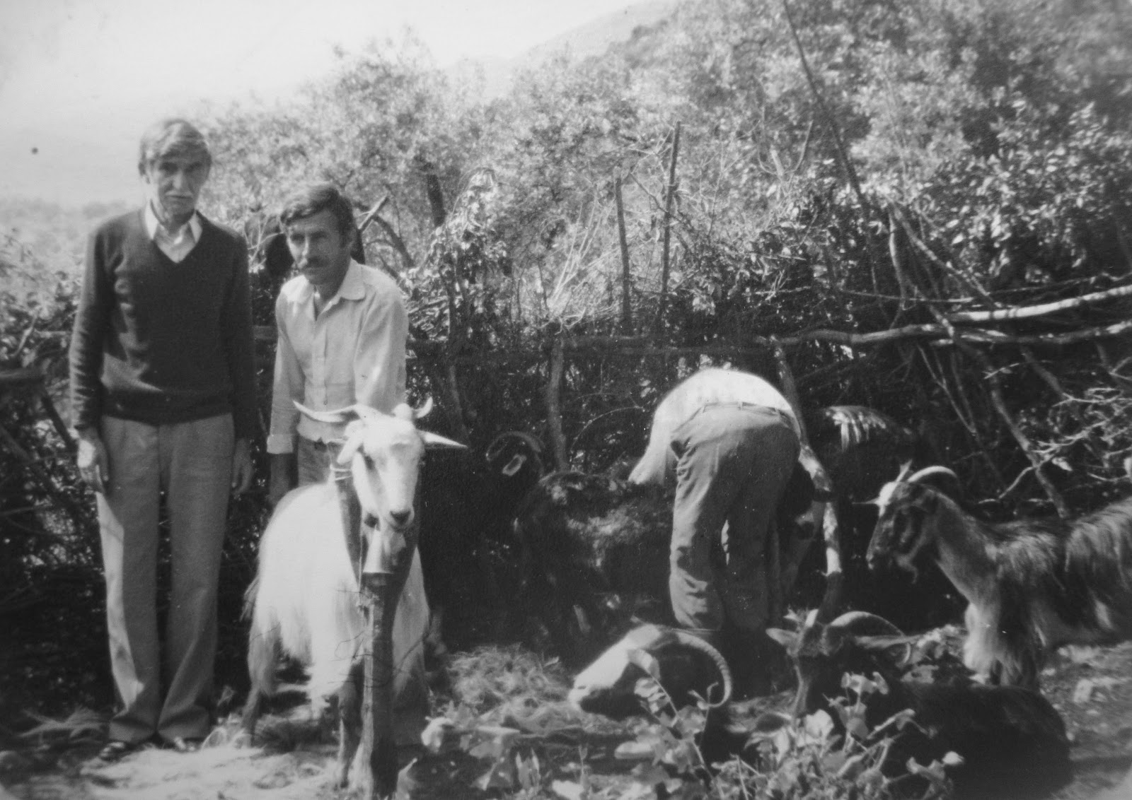 ART POETICA Couvelis: 2-ΜΑΧΑΙΡΑ ΞΗΡΟΜΕΡΟΥ -ΚΕΙΜΕΝΑ χ.ν.κουβελης -TEXTS ...