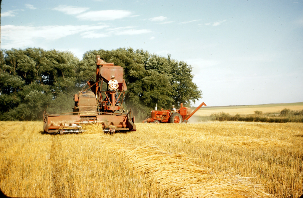 18 Color Snapshot Capture Camping and Farming Living of North Dakota in ...