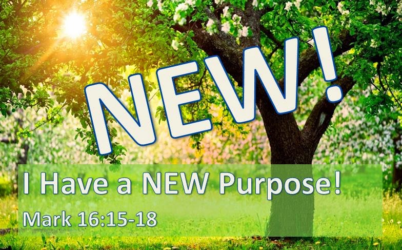Pastor Chris' Blog: I Have a NEW Purpose!
