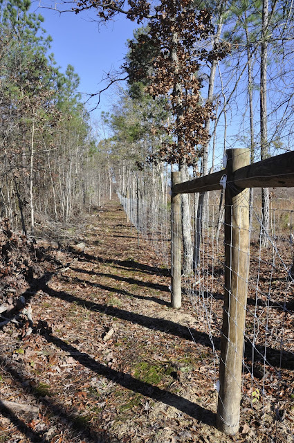 East section II fencing completed | Buffalo Dan's Bison
