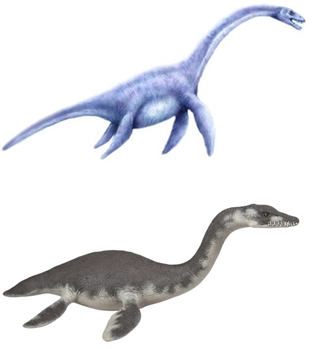 Misteri Naga Tambuakar Sabah | Sang Pengembara Kehidupan