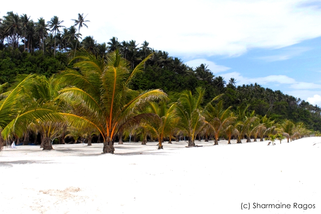 Shammie Ragos: SUMMER 2014: Porta Vega Beach Resort, Dimasalang, Masbate