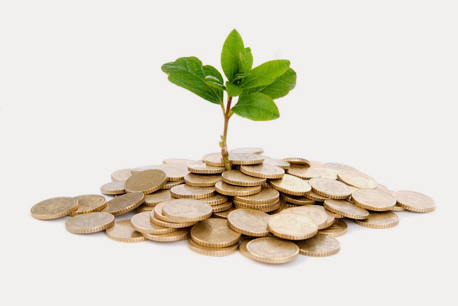 Environment, Law, and History: Green Capitalism?