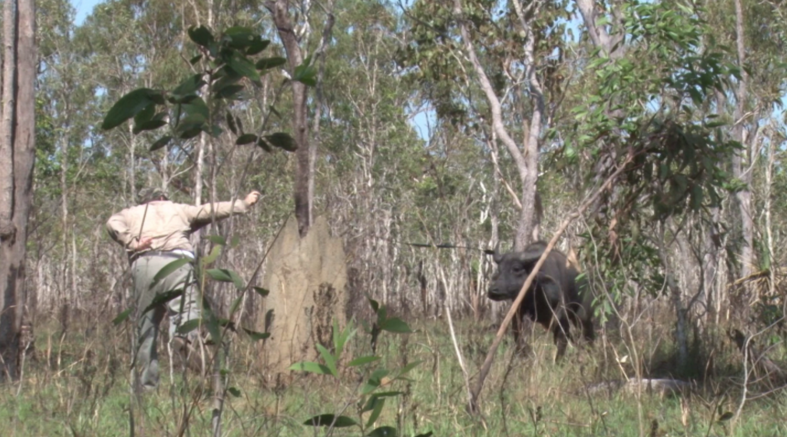 Lynn Thompson Blog : Cold Steel Knives