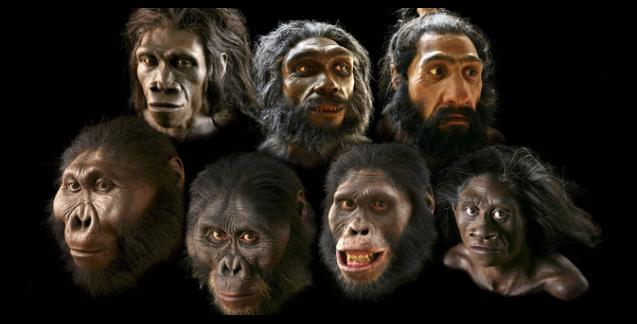 EN 105A: ENVIRONMENTAL BIOLOGY: The David H. Koch Hall of Human Origins ...