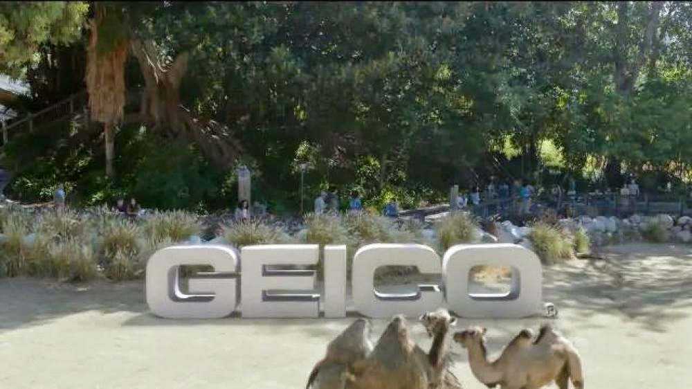 Geico Camel Images
