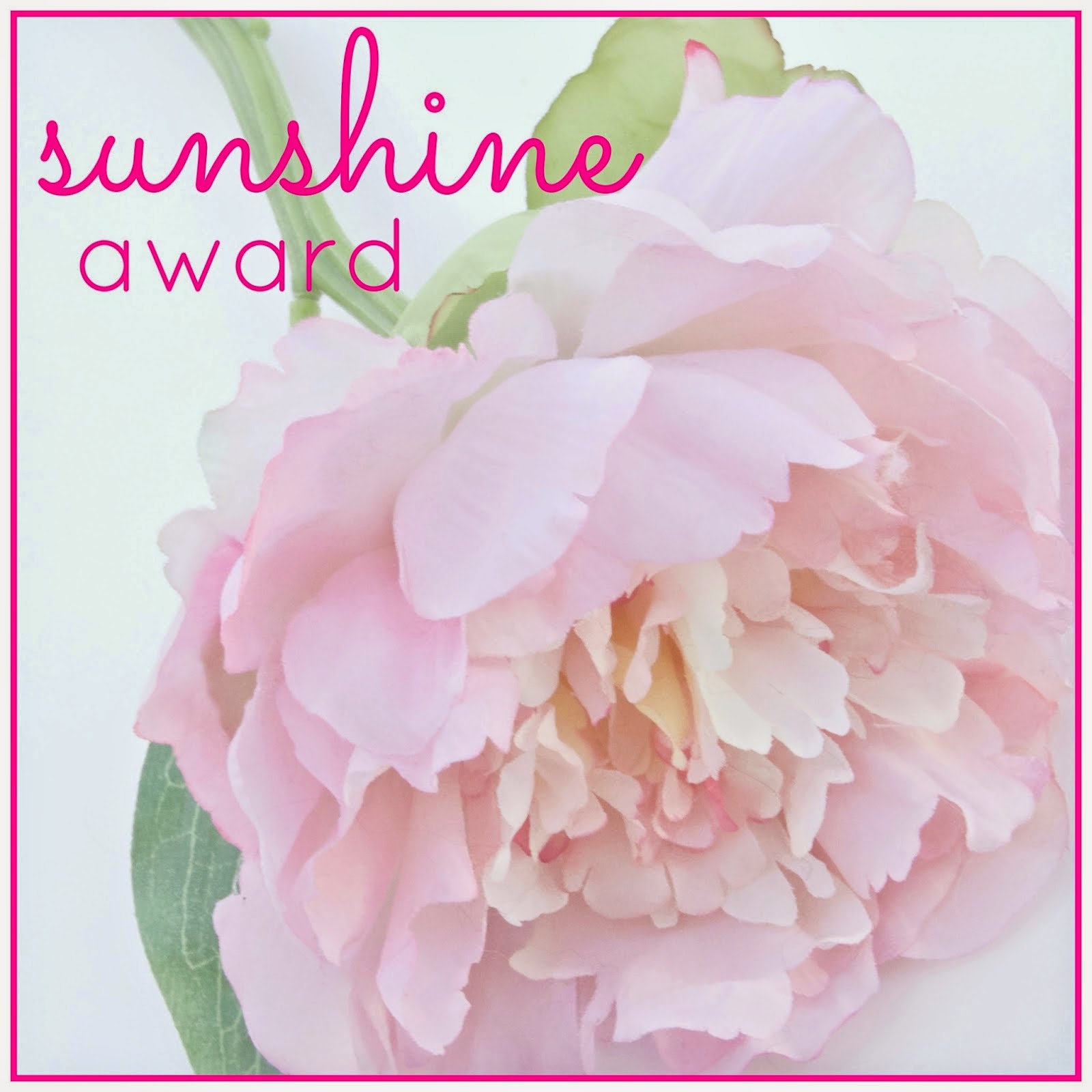 sunshine award | a hundred tiny wishes