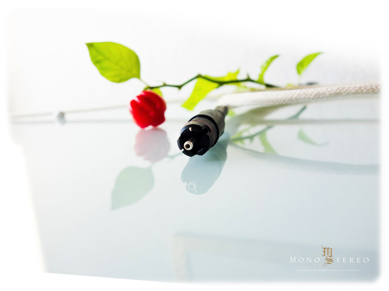 MadScientistAudio HDC Digital Cable review – M & S | Ultimate High-Fidelity