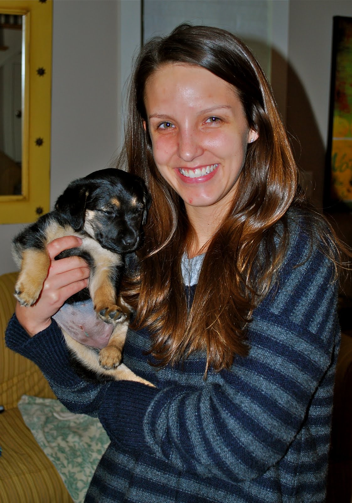 CofC Cougar Volunteer Spirit: ANSLEE JOHNSON- Palmetto Paws