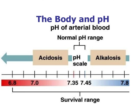 The Online Medicals: Acid Base Learner Series: The Delta Ratio