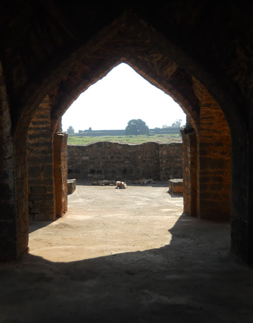 evenfewergoats: Bidar