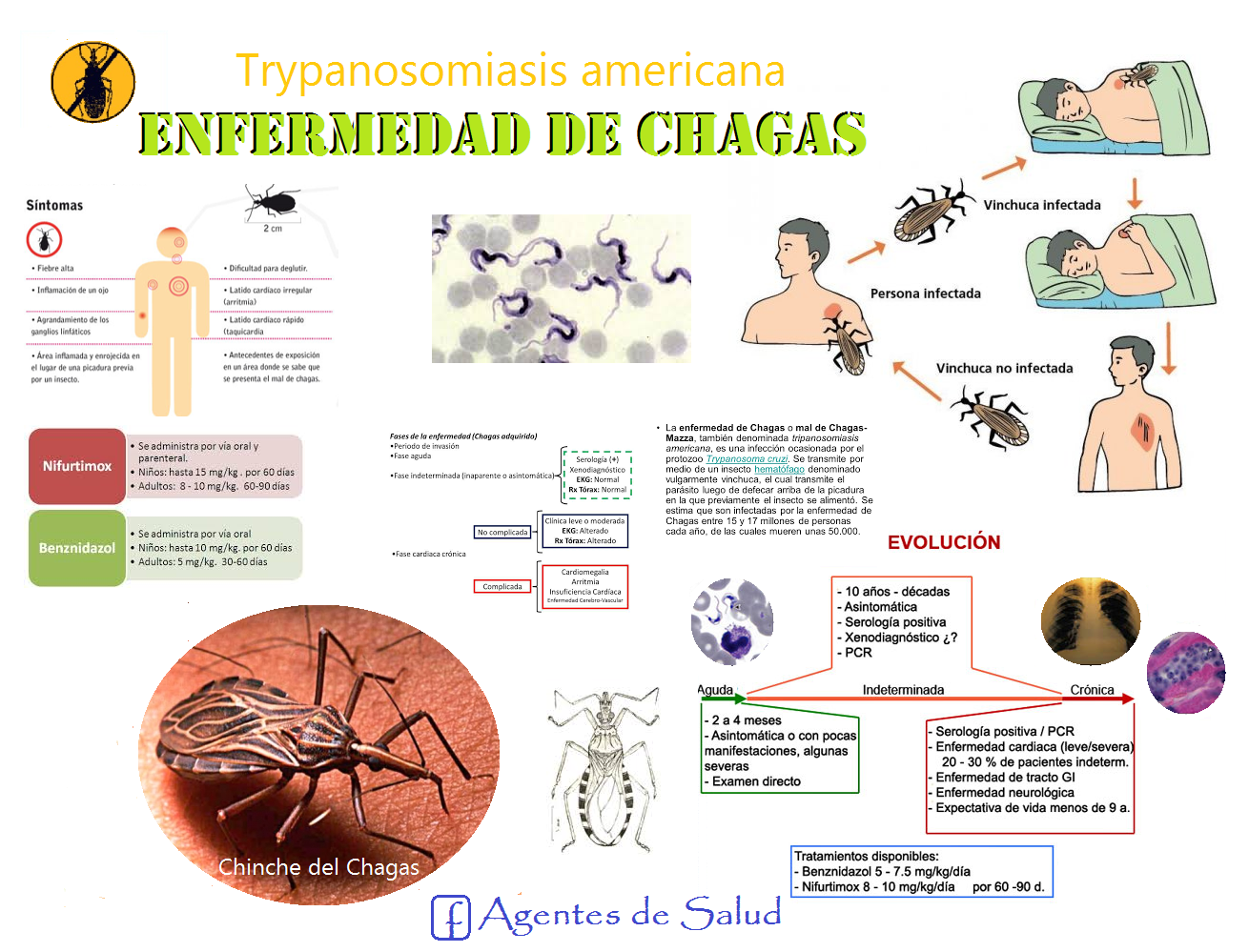 Agentes de Salud: octubre 2016