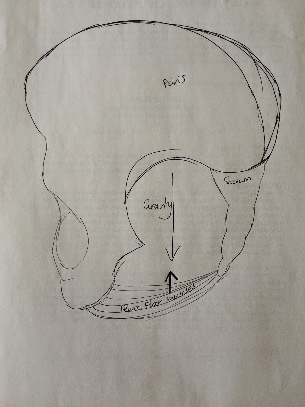 Pelvic Health and Alignment : April 2015