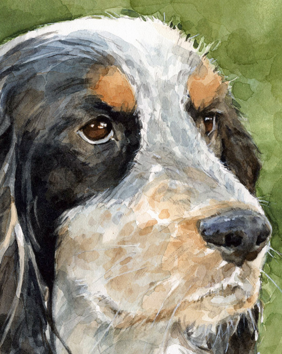 Watercolor illustration by studio tuesday: Dog portrait watercolor