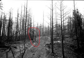 Slenderman Sightings