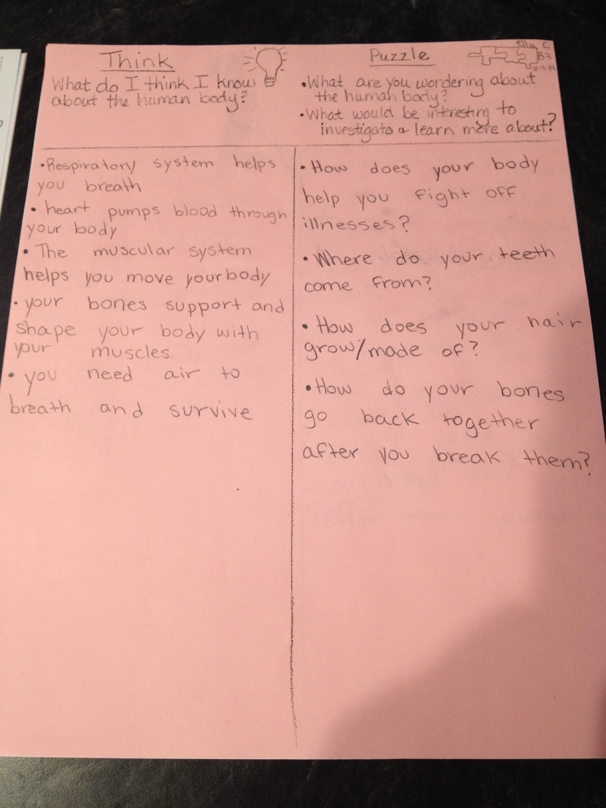 Visible Thinking Routines: THINK- PUZZLE-EXPLORE: Investigating Human ...