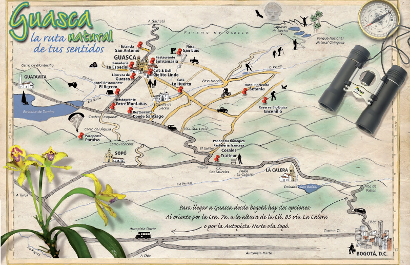 English B1+ Activity 7: Creating a Blog Group 29