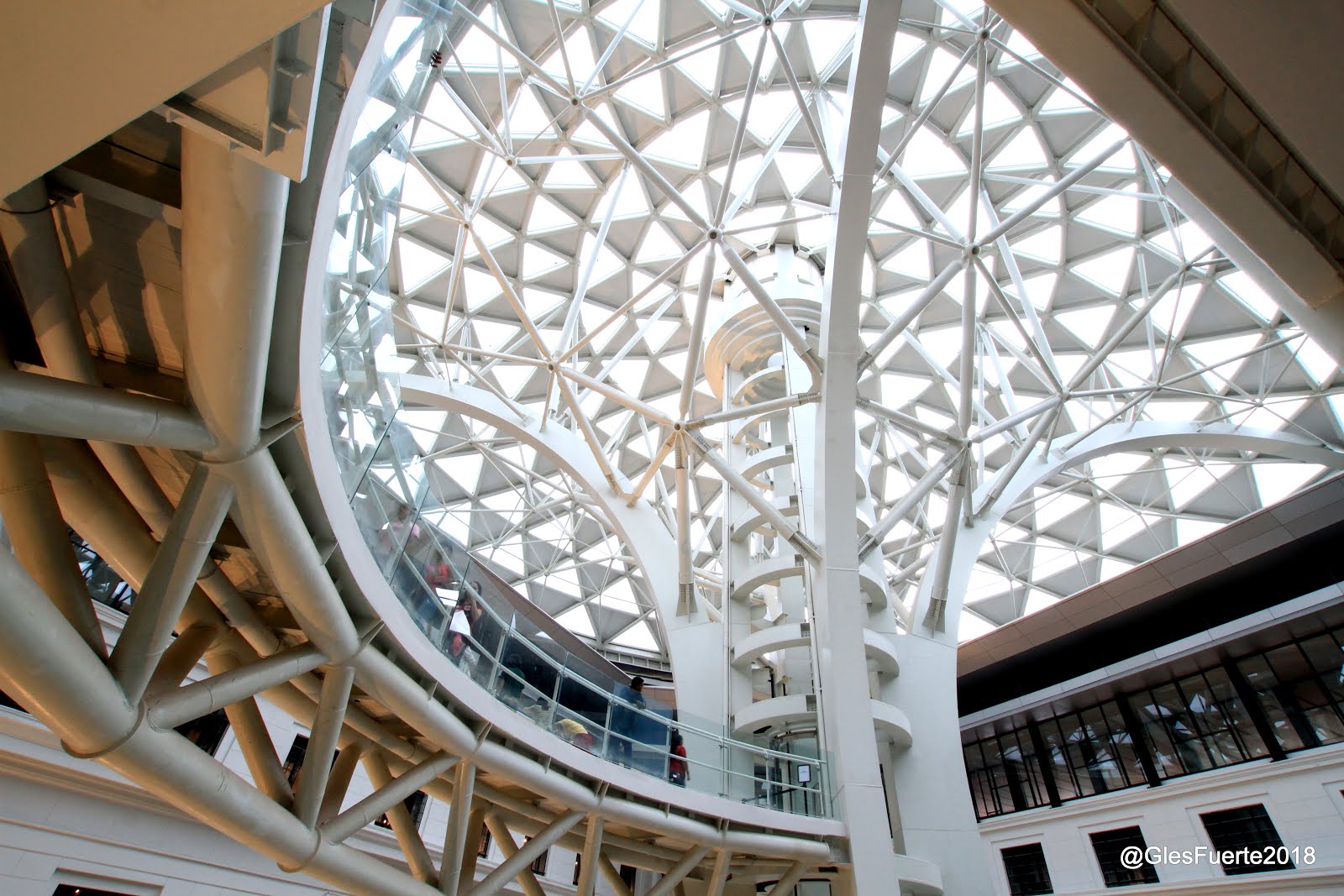 Explore.Dream.Discover: Exploring the National Museum of Natural History