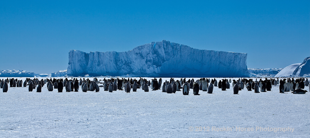 Antarctica - According to a Boilermaker Named Horse: Amanda Bay ...