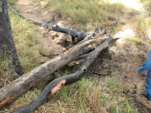 Healthy Farming Healthy Food: Leaky weirs