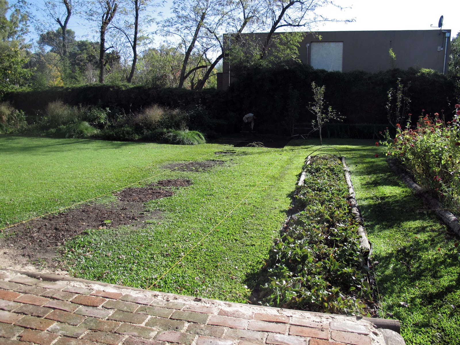 En el jardin: nuevo cantero en construcción