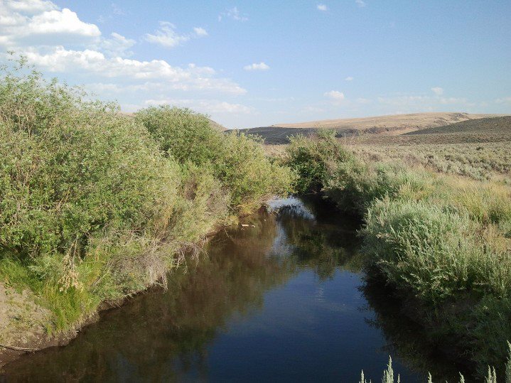 The Nevada Traveler: A Geologic Legacy: the Owyhee Desert