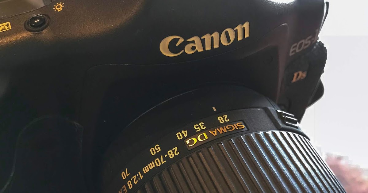 View From The Porch: Lucky score...