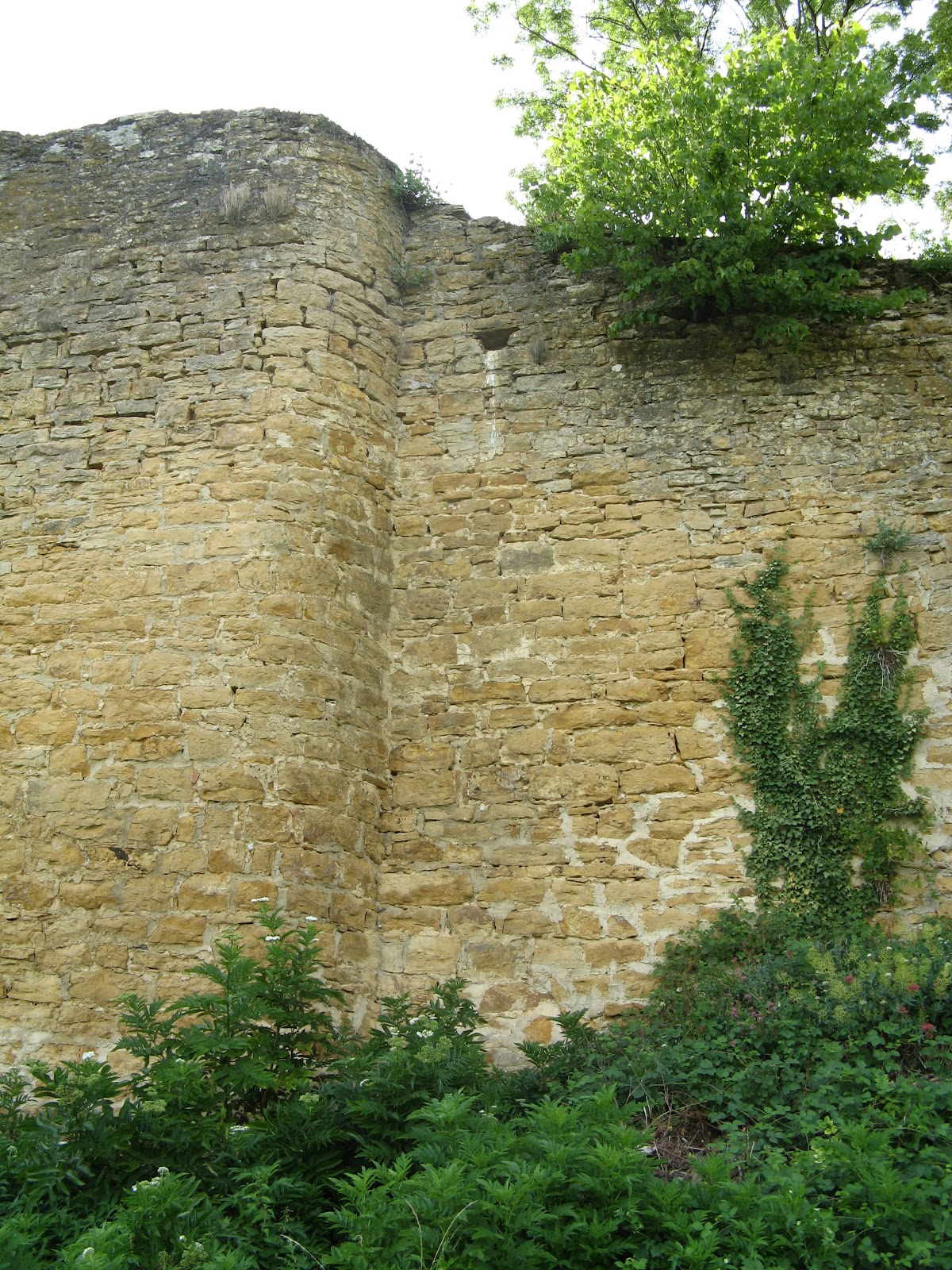 MES VIEUX CHATEAUX: Le Chateau d'Arlay