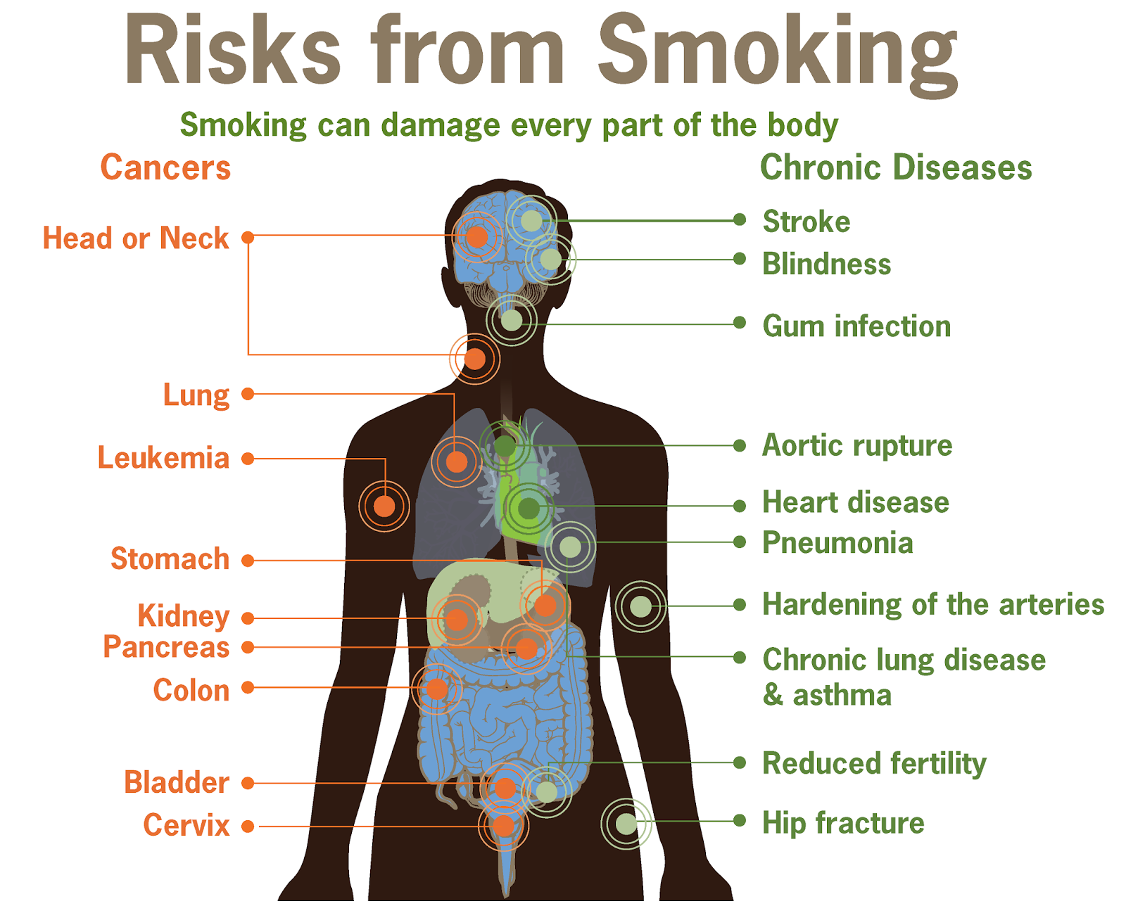 Learn How To Live Well!: Why is Smoking so Addictive?