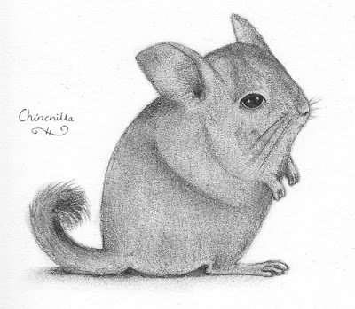 Catherine Gabriel Art: Chinchilla