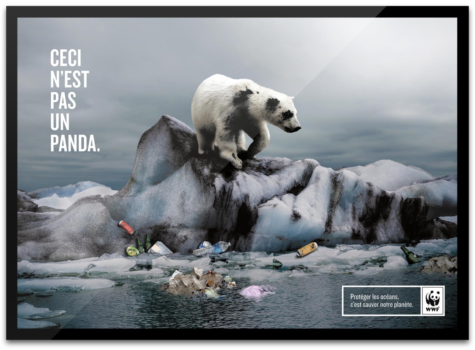 FLE en vrac!: WWF - Animaux à l'affiche!