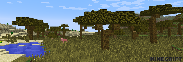 mil millones ponerse nervioso Ir a caminar bioma sabana minecraft bahía ...