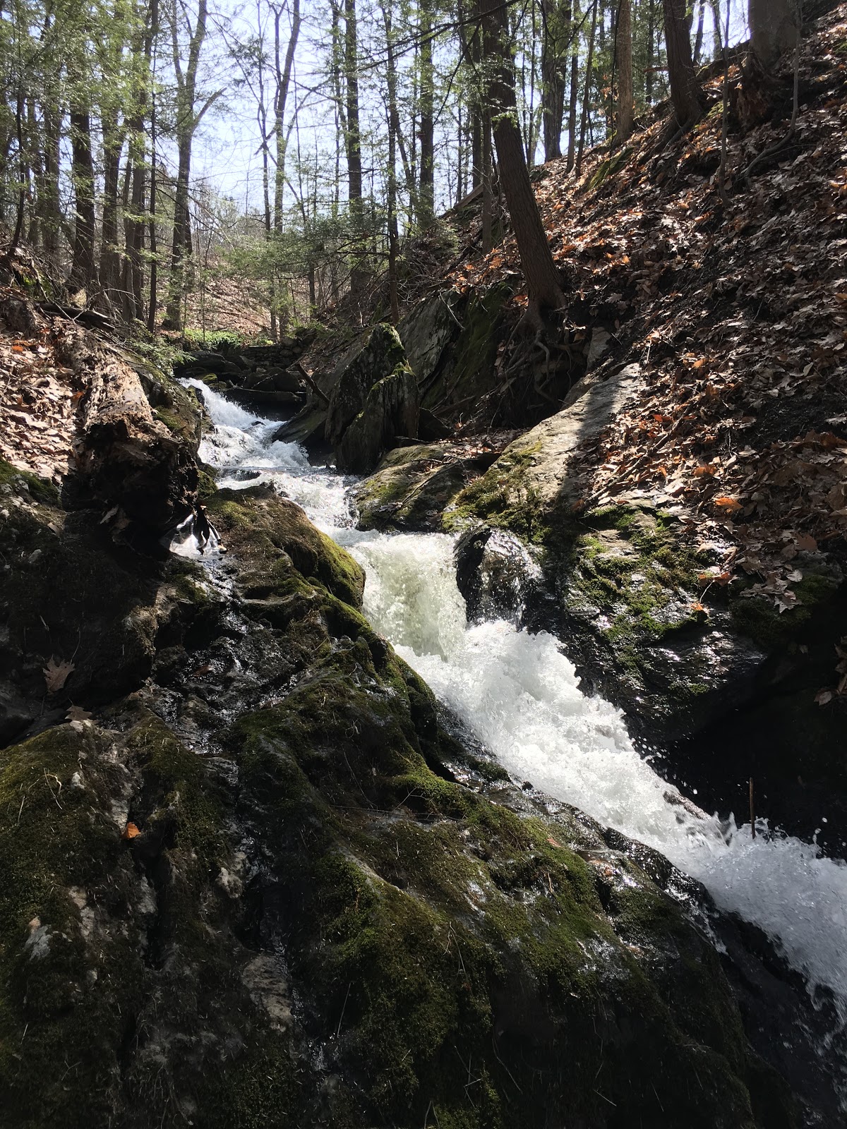 The Places Overlooked: Western Mass.- Allen Brook Falls