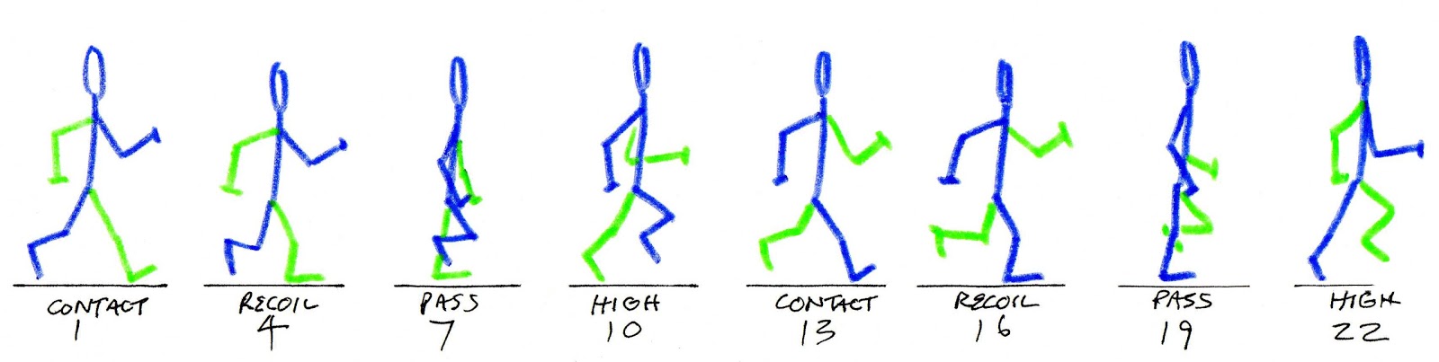 Paige -Nicole: After Effects: Walk and Run Cycles