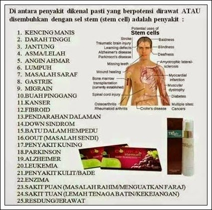 Phyto Science Biz: "Introducing PHYTOSCIENCE DOUBLE STEM CELL..