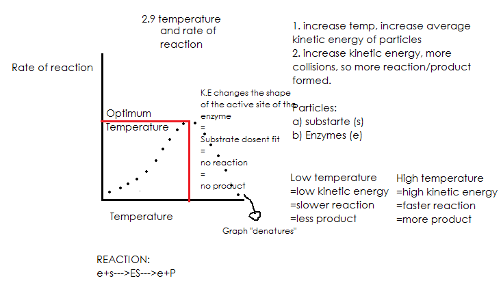 nutriton: 2.9 effect of temp on reaction rate