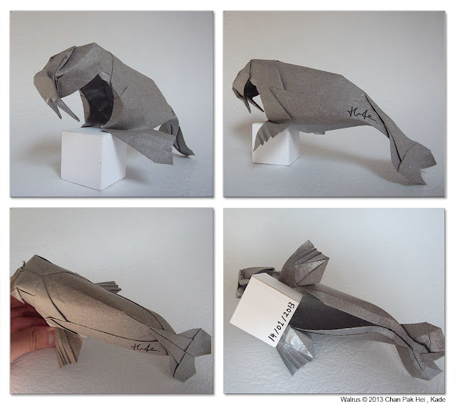 Kade Chan Origami Blog 香港摺紙工作室 (日誌): Walrus 海象