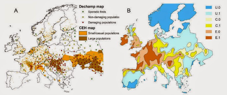 Inspecting Invaders: Invasive Plants and Anthropogenic Environmental ...