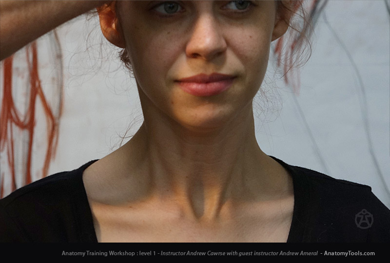 AnatomyTools.com: 2015 Photo Album - Human Anatomy Workshop Lvl-1 (April)