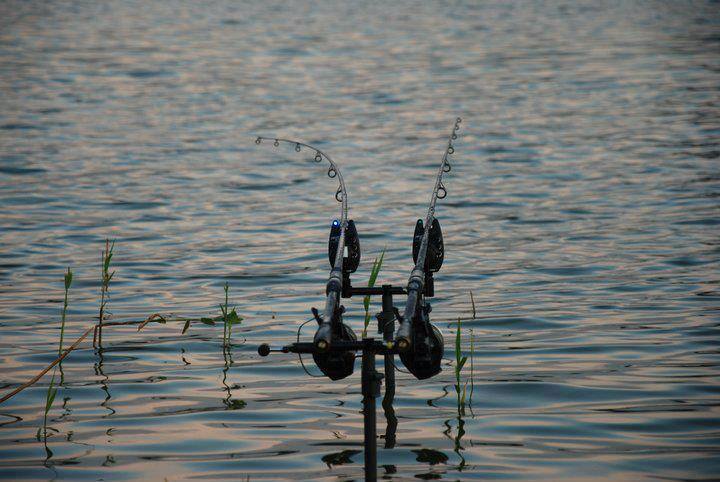 Yorkshire Amateur Anglers: A1 Pits - Newark