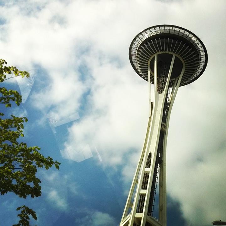 Yellow Roman Candles