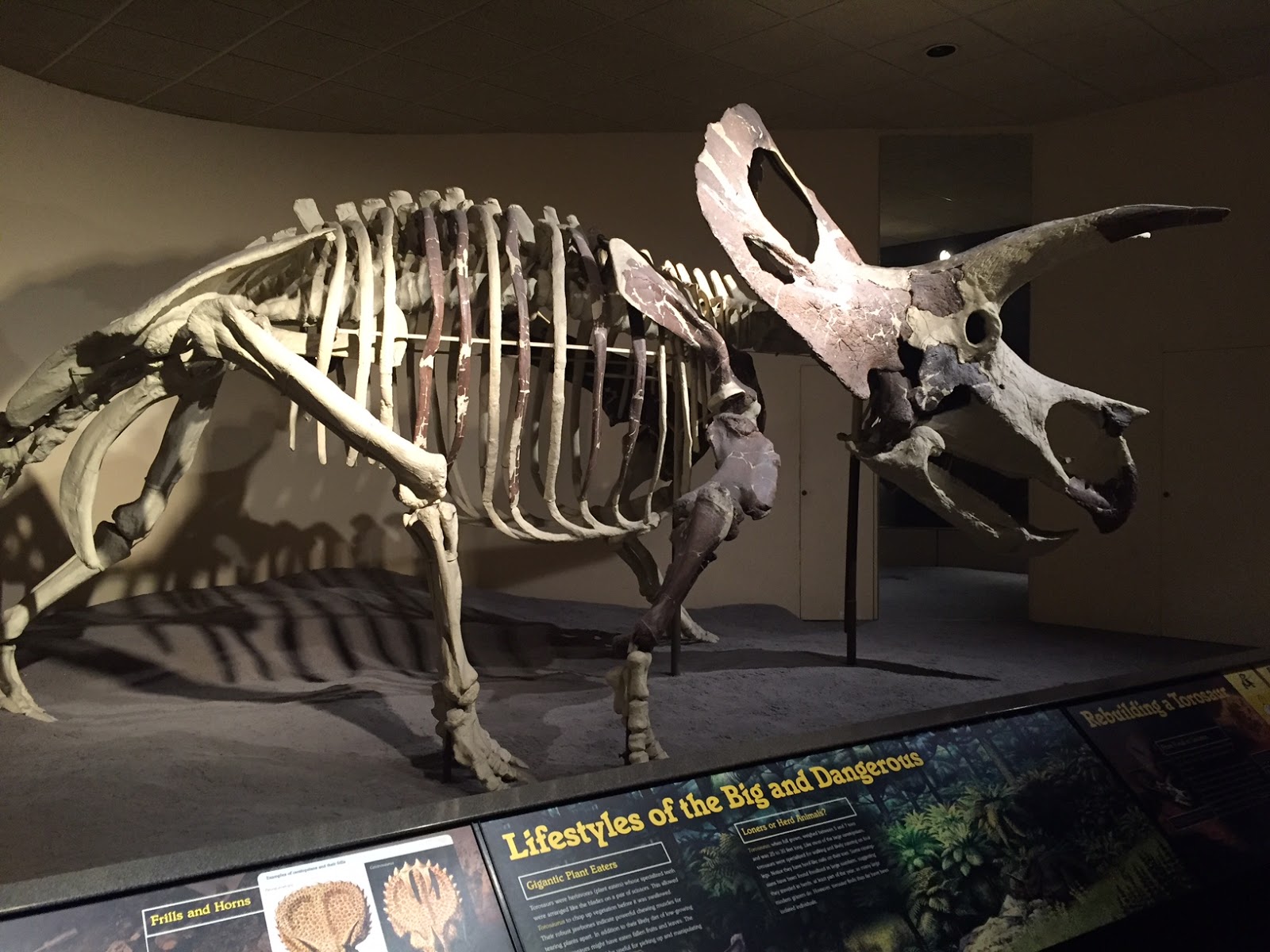 A Little Time and a Keyboard: Exploring Natural History and Culture at ...