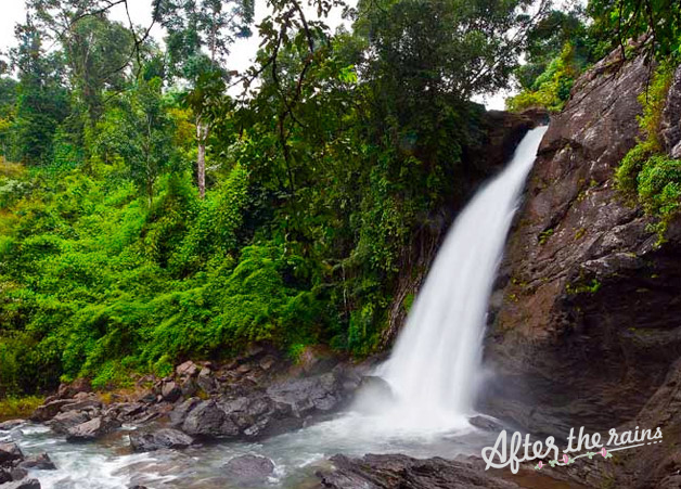 After the Rains Resort Wayanad: 4 Breathtaking Waterfalls in Wayanad